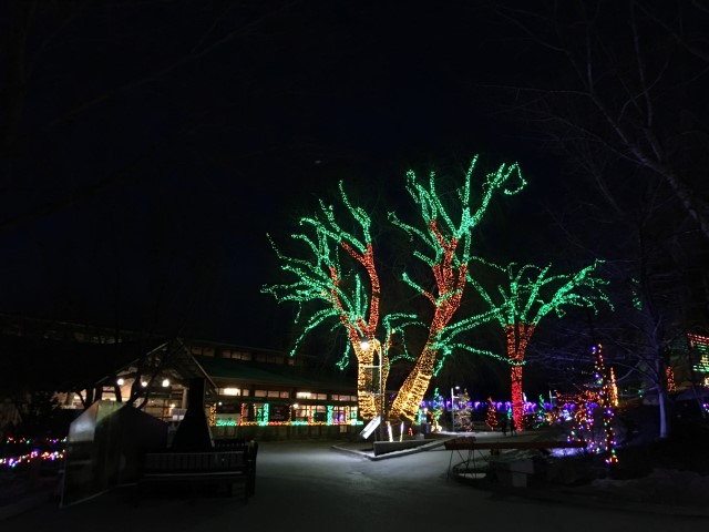 Find Wonderland at ZOOLIGHTS | Mint & Heritage