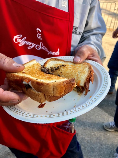 3 crazy Stampede foods to try… if you dare | Mint & Heritage